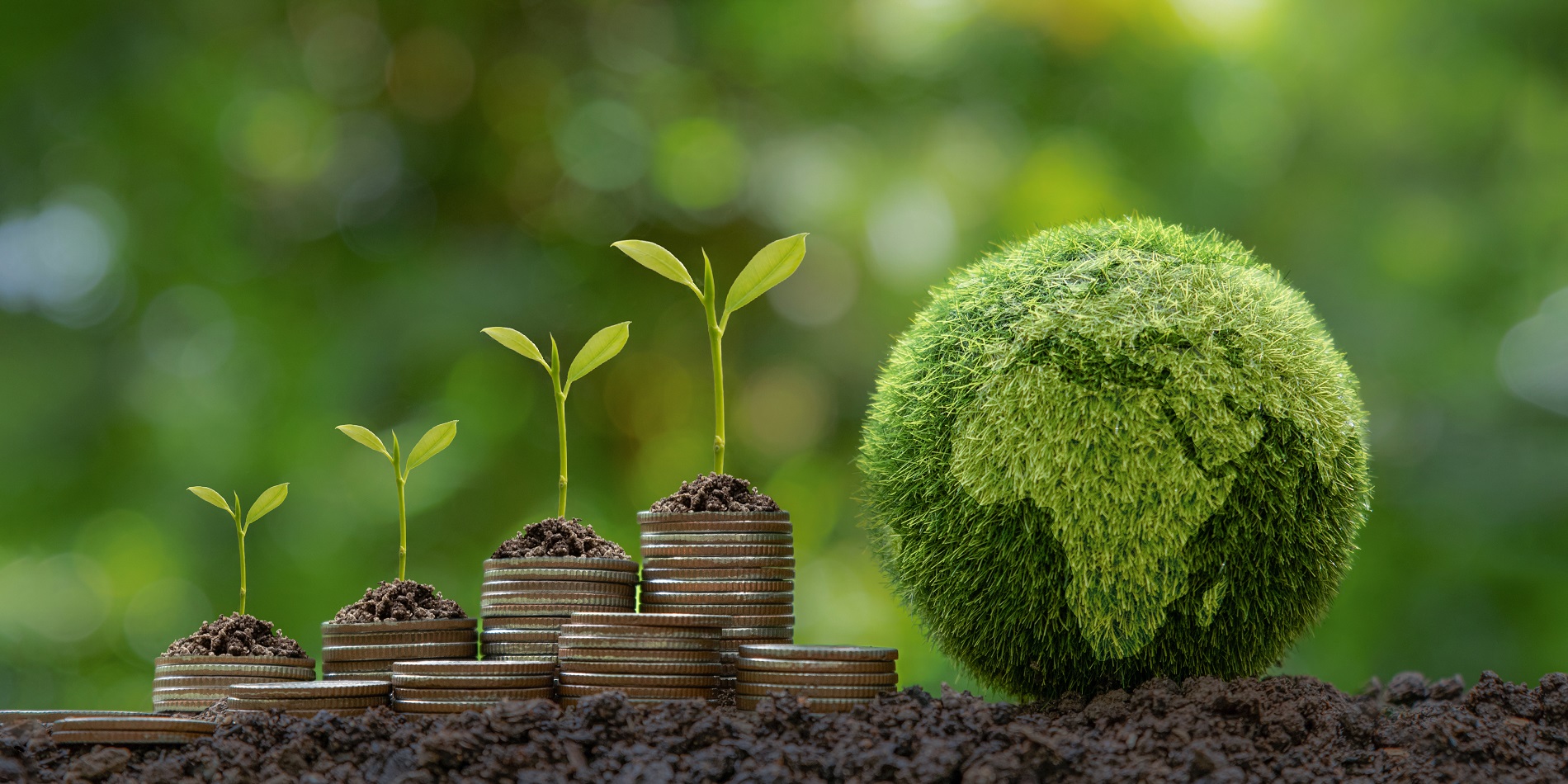 Multilateral Cooperation Center for Development Finance (MCDF)