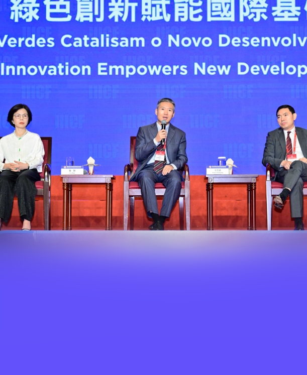 Multilateral Cooperation Center for Development Finance (MCDF)